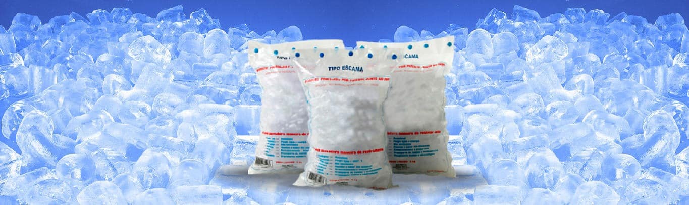 Distribuidora de Gelo – RJ | Depósito 12h G. Tijuca e Zona Sul